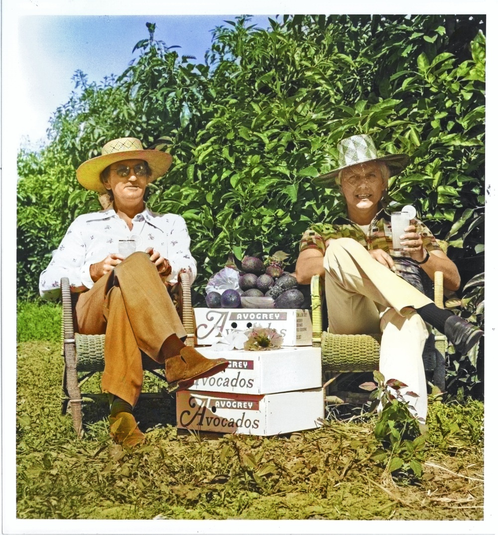 Remembering Hudson & Halls: The duo who stole our hearts