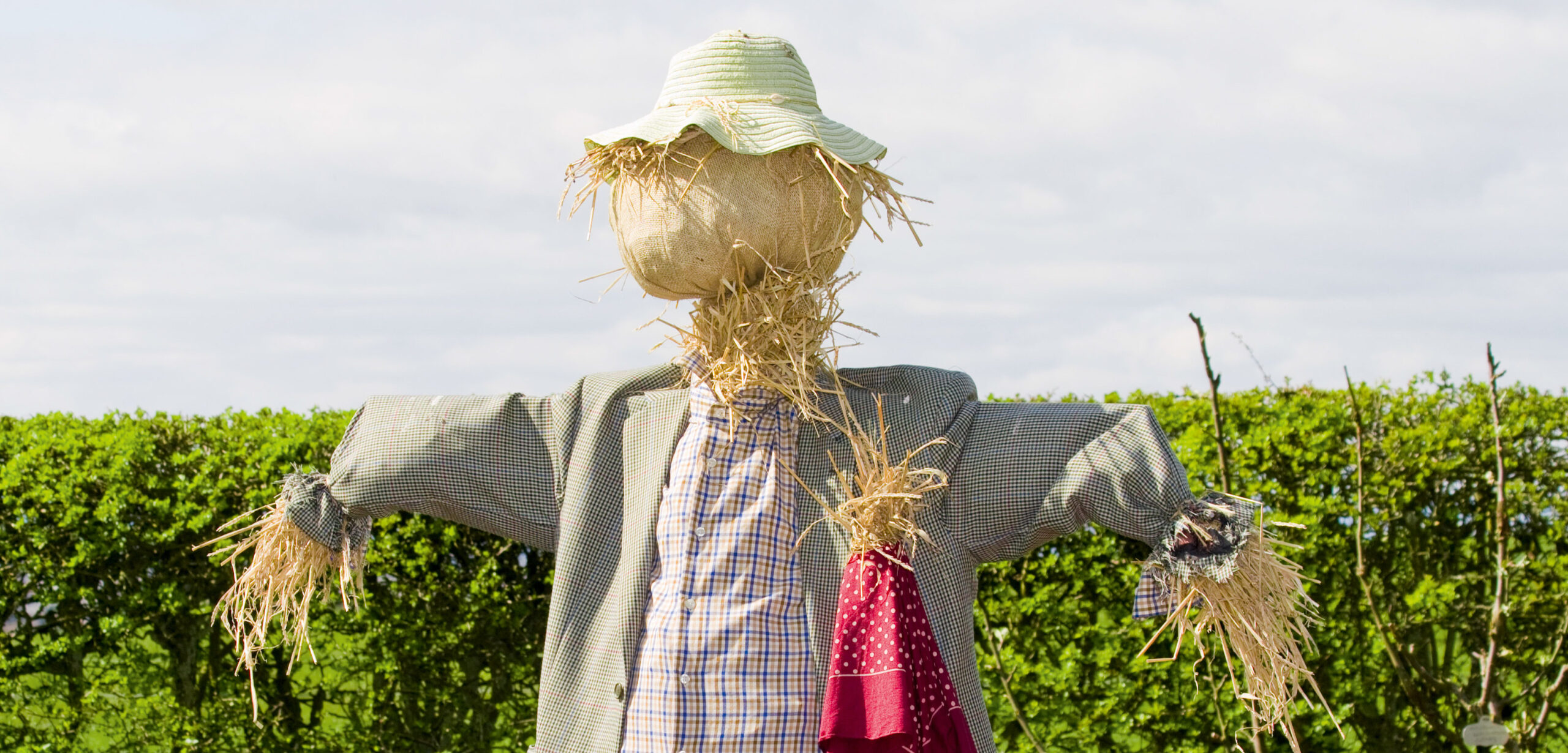 Scarecrow's in the garden | Now to Love - New Zealand
